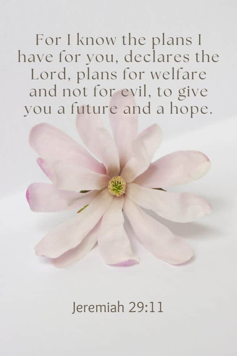 21 Encouraging Order My Steps Scriptures to give you Peace | Undoubted ...